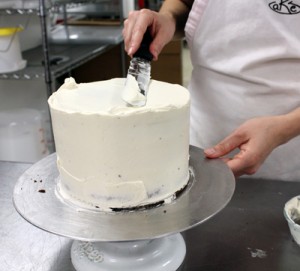 Boston Cake Decorating Classes, Baking Lessons, Instruction, Videos and ...